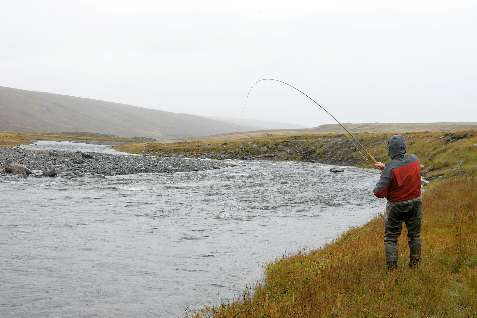 Tunguá í Borgarfirði