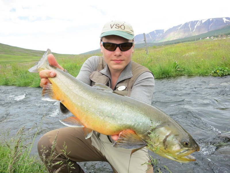 Hjaltadalsá og Kolka